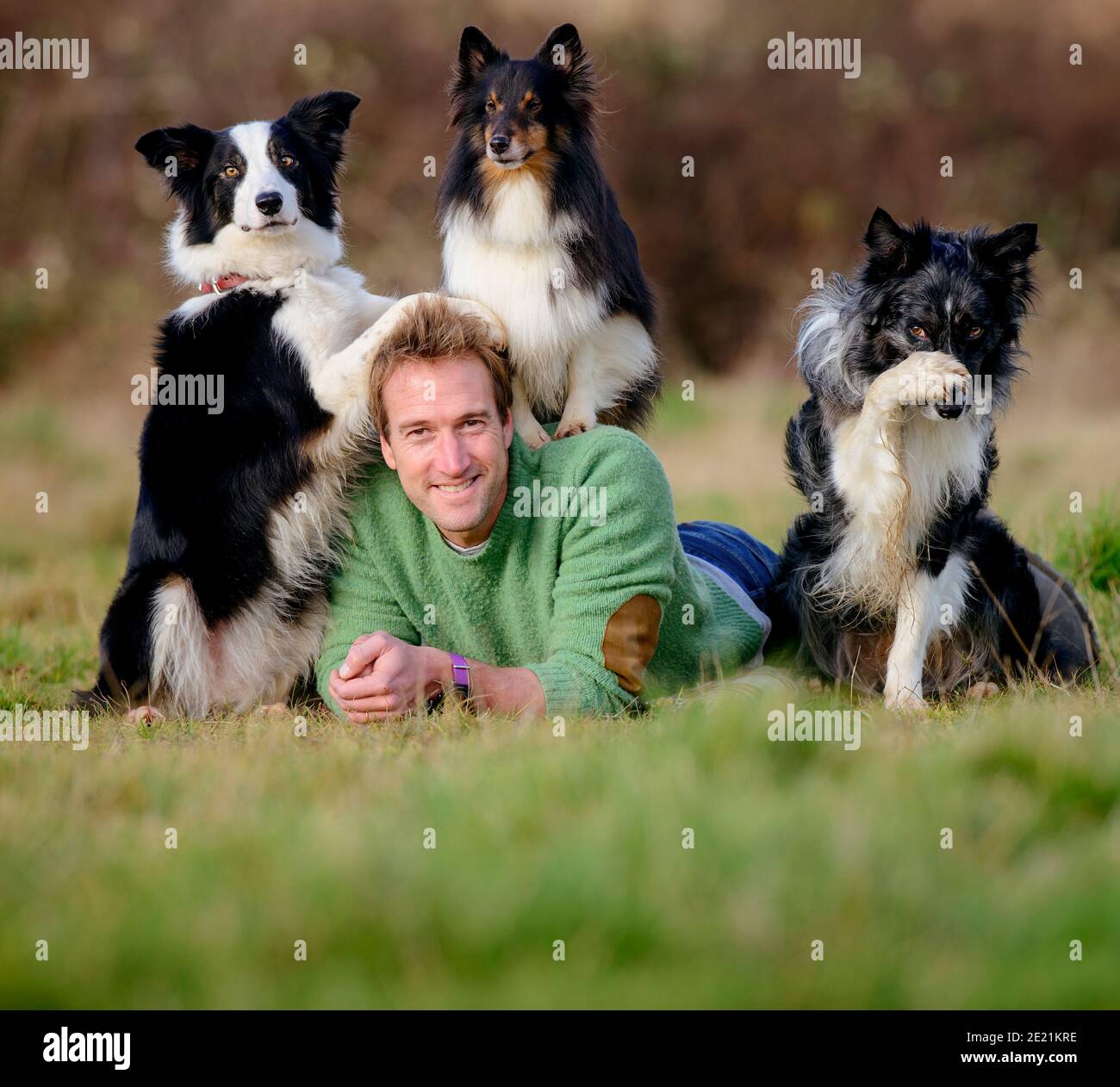 Personality Ben Fogle photographed with posing Border Collies Stock ...