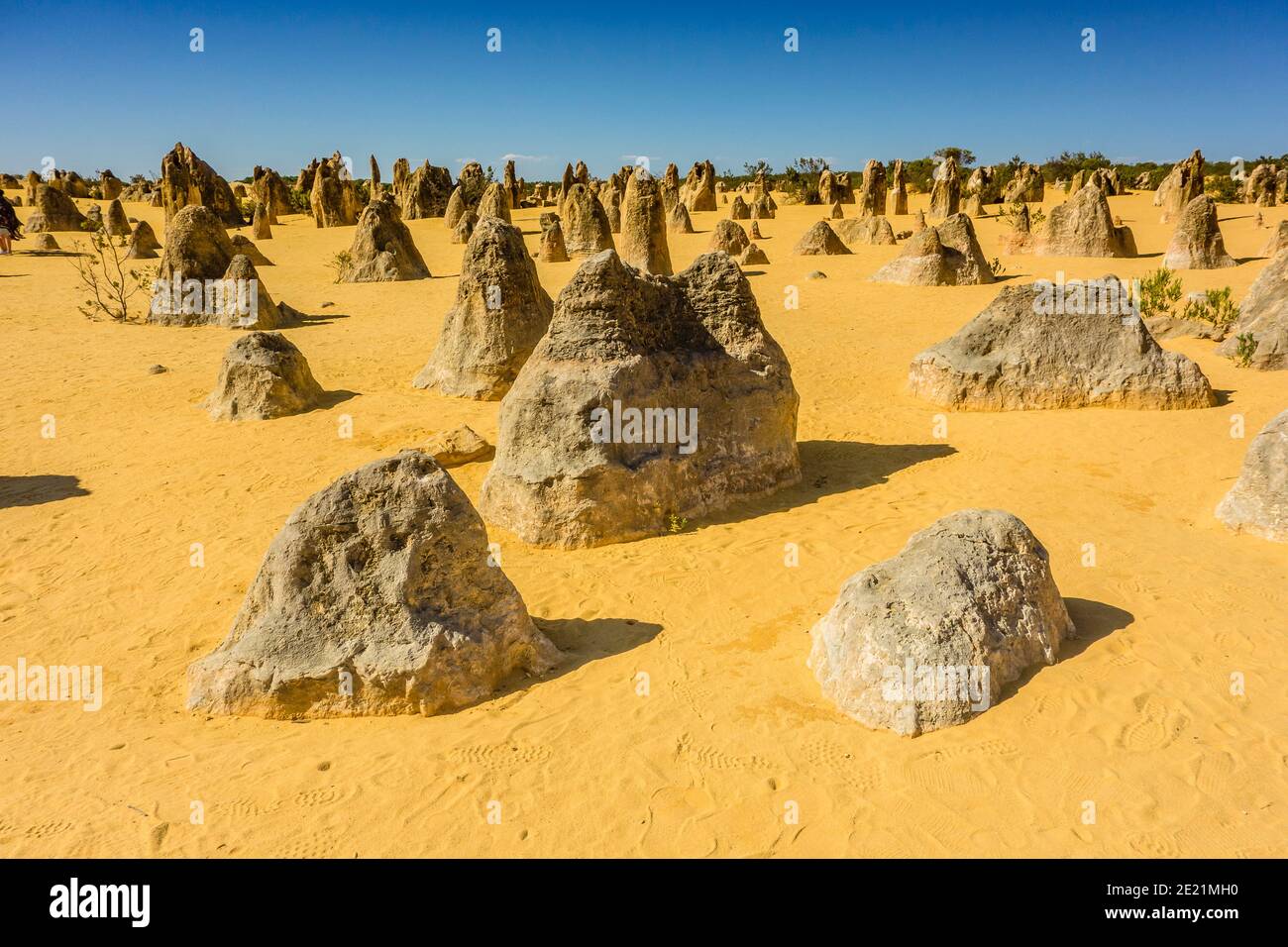Limestone pillars of Pinnacles Desert, Nambung National Park, Western ...