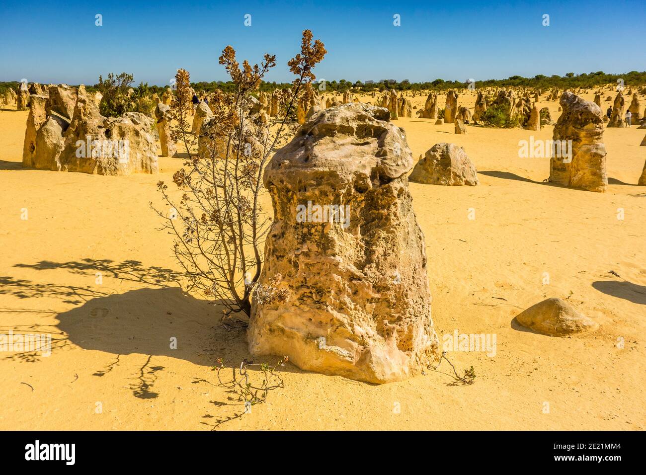 Limestone pillars formed from hi-res stock photography and images - Alamy