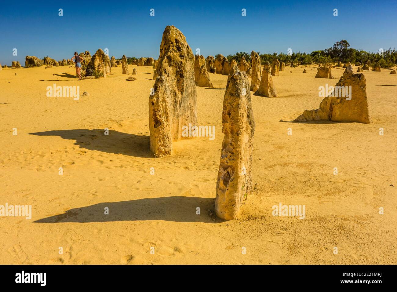 Limestone pillars of Pinnacles Desert, Nambung National Park, Western ...