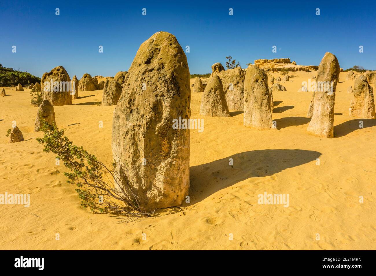 Limestone pillars of Pinnacles Desert, Nambung National Park, Western ...