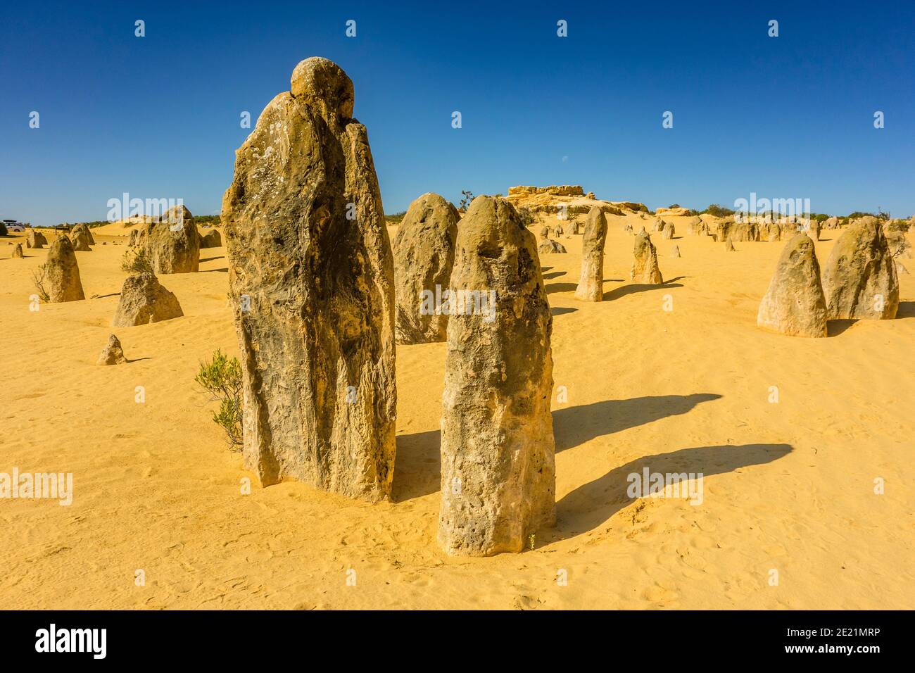 Limestone pillars of Pinnacles Desert, Nambung National Park, Western ...