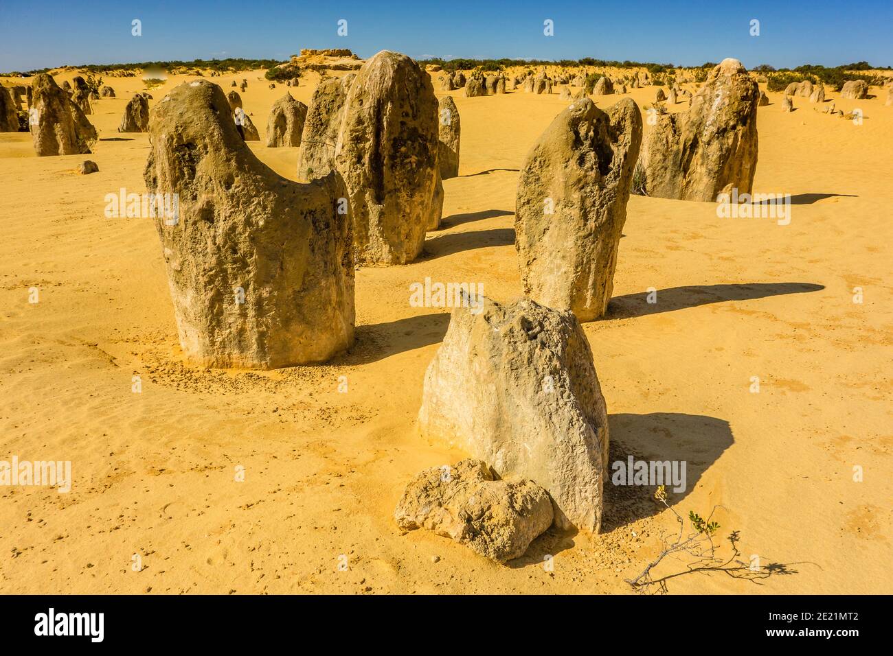 Limestone pillars of Pinnacles Desert, Nambung National Park, Western ...