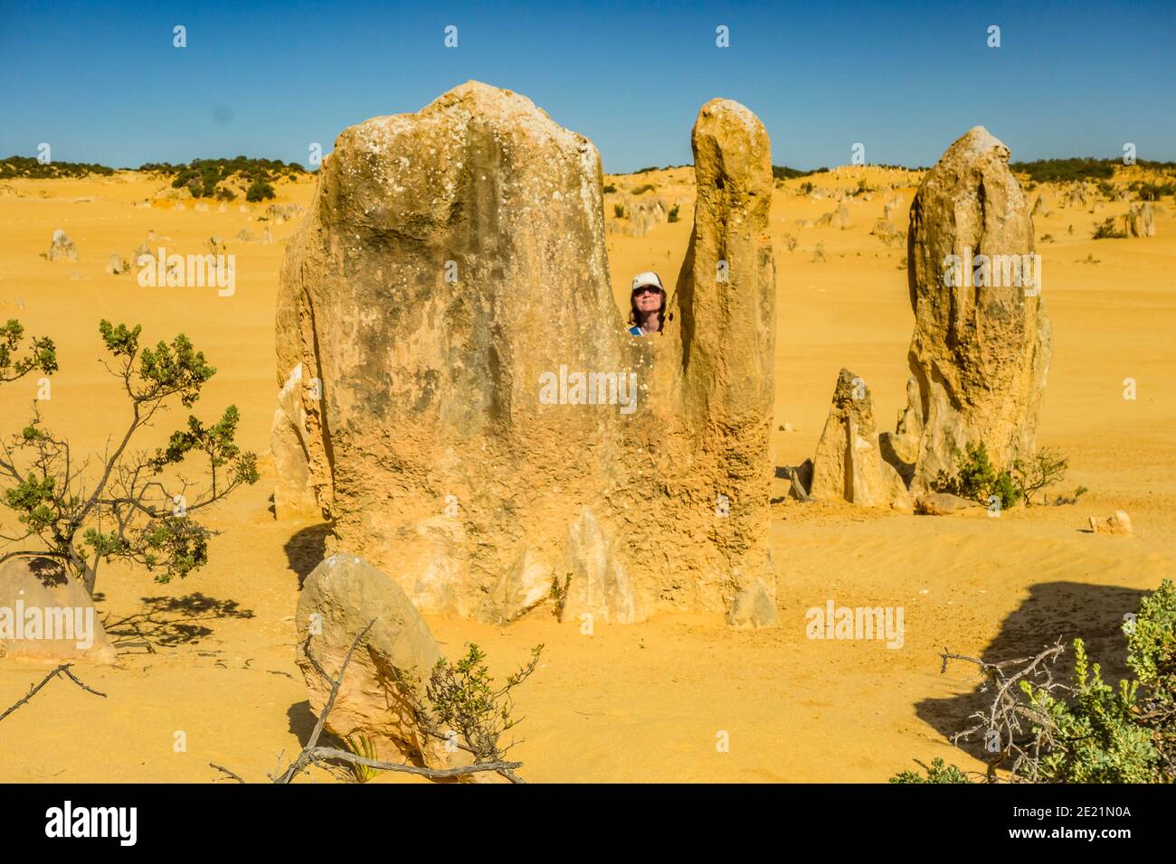 Limestone pillars of Pinnacles Desert, Nambung National Park, Western ...