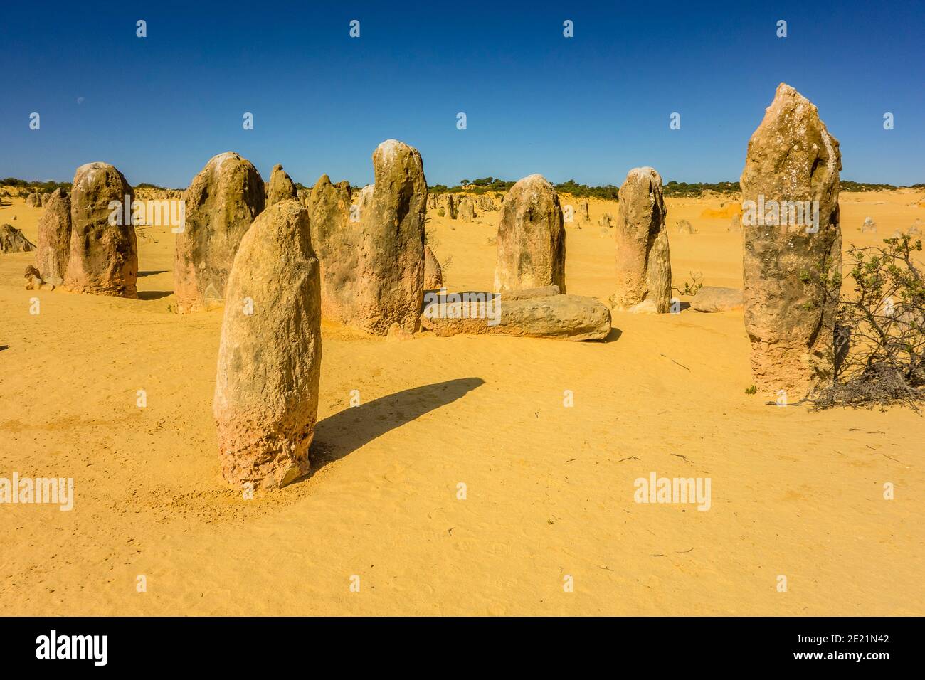 Indian ocean drive road australia hi-res stock photography and images ...