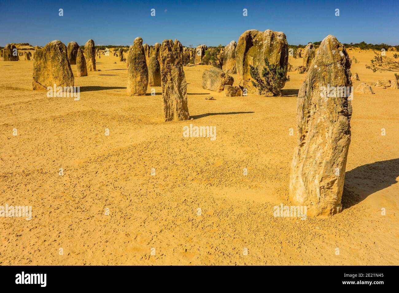 Limestone pillars of Pinnacles Desert, Nambung National Park, Western ...