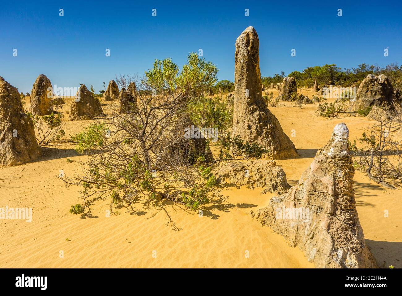 Limestone pillars of Pinnacles Desert, Nambung National Park, Western ...