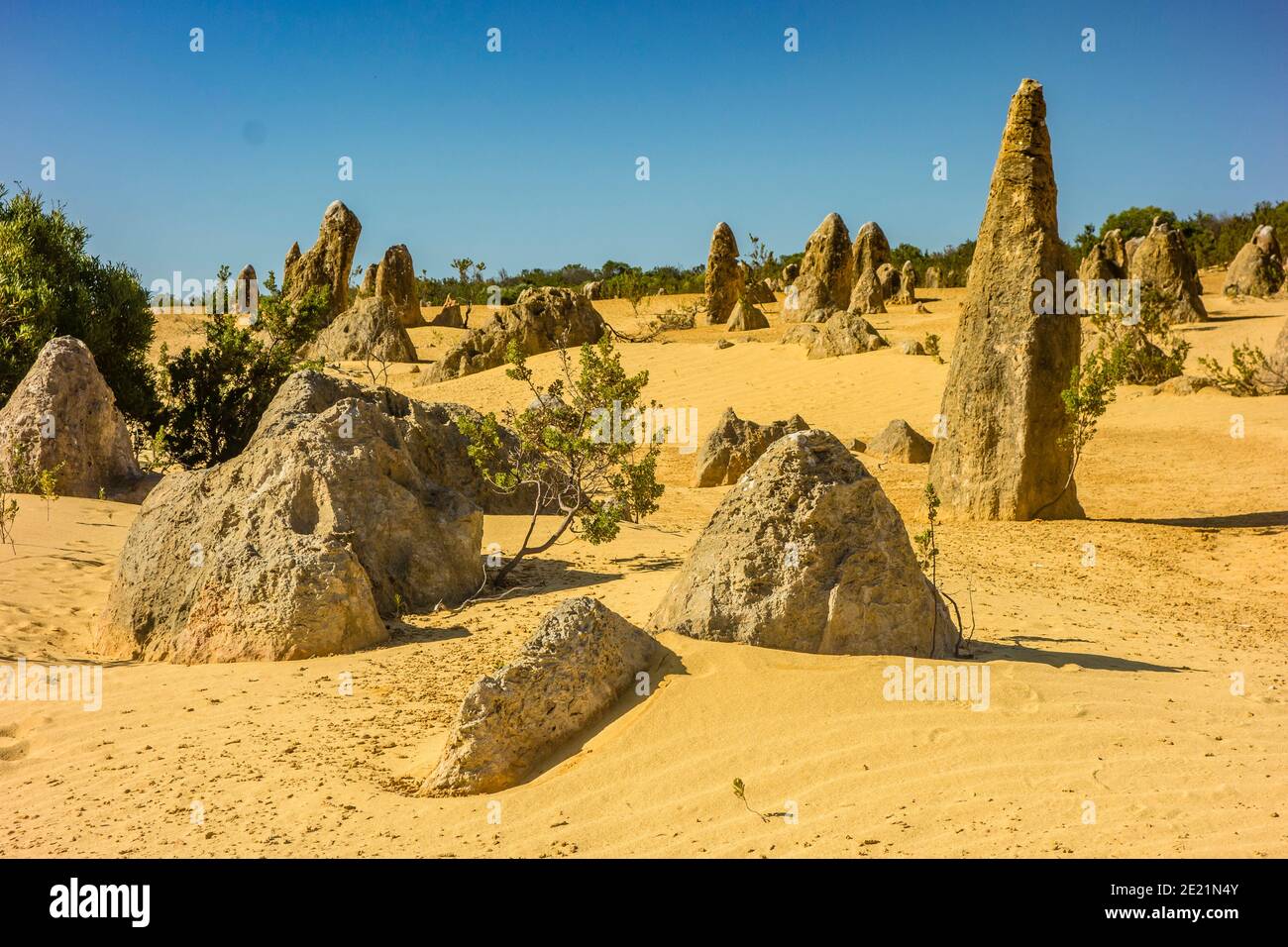 Limestone pillars of Pinnacles Desert, Nambung National Park, Western ...