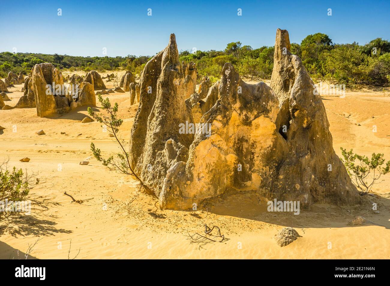 Limestone pillars of Pinnacles Desert, Nambung National Park, Western ...