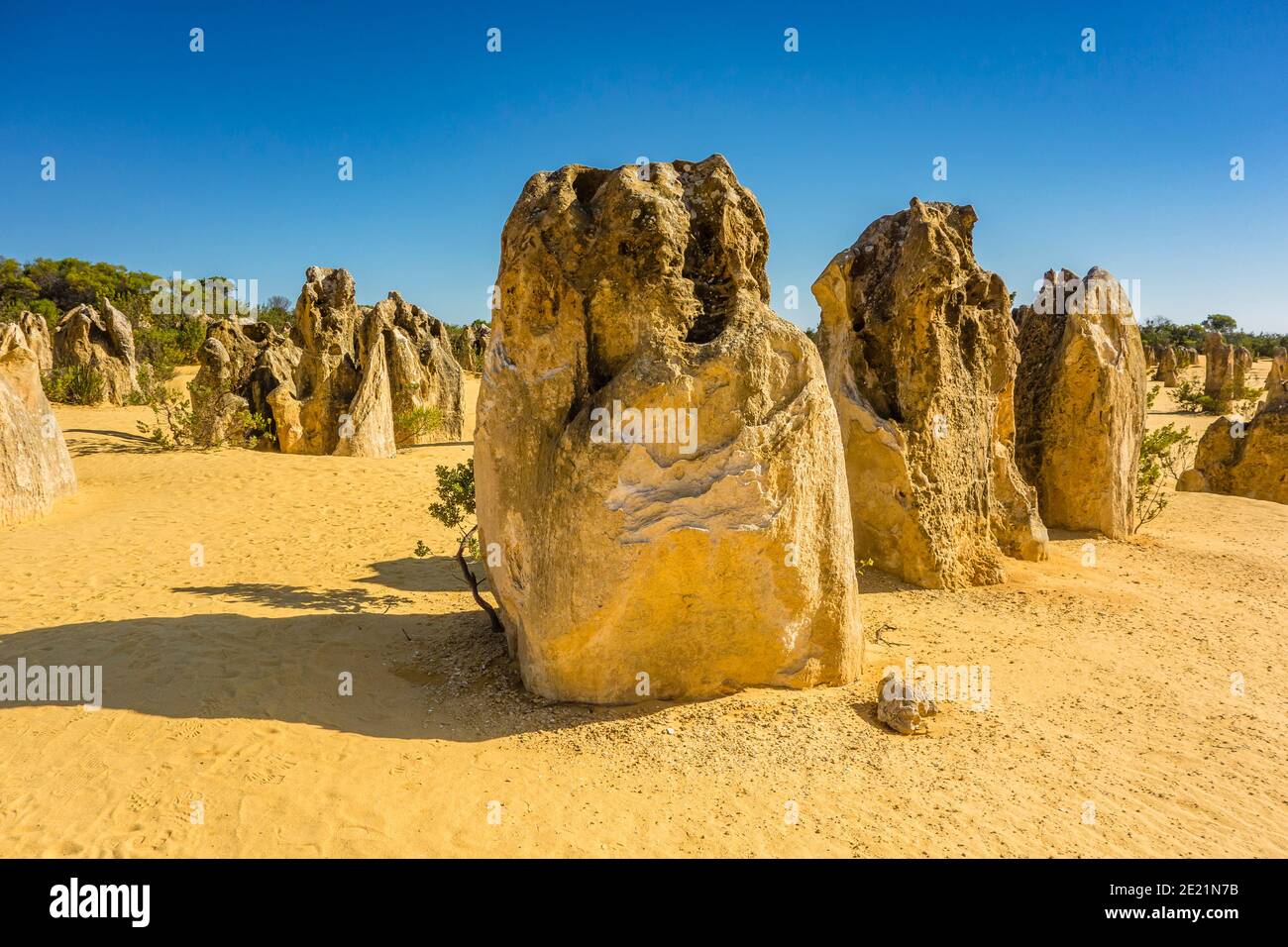 Limestone pillars of Pinnacles Desert, Nambung National Park, Western ...