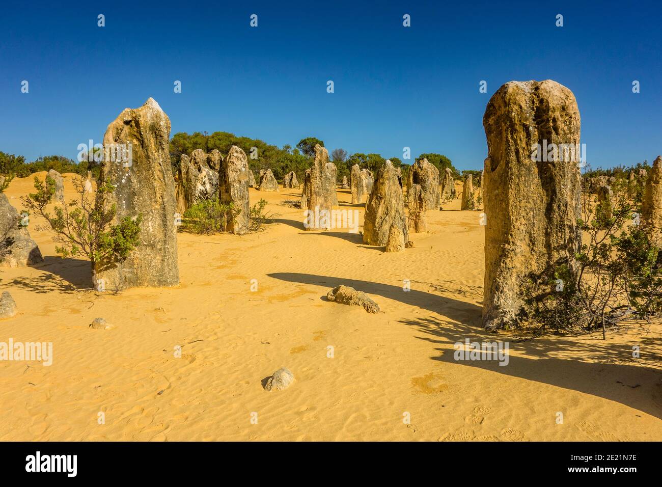 Limestone pillars of Pinnacles Desert, Nambung National Park, Western ...