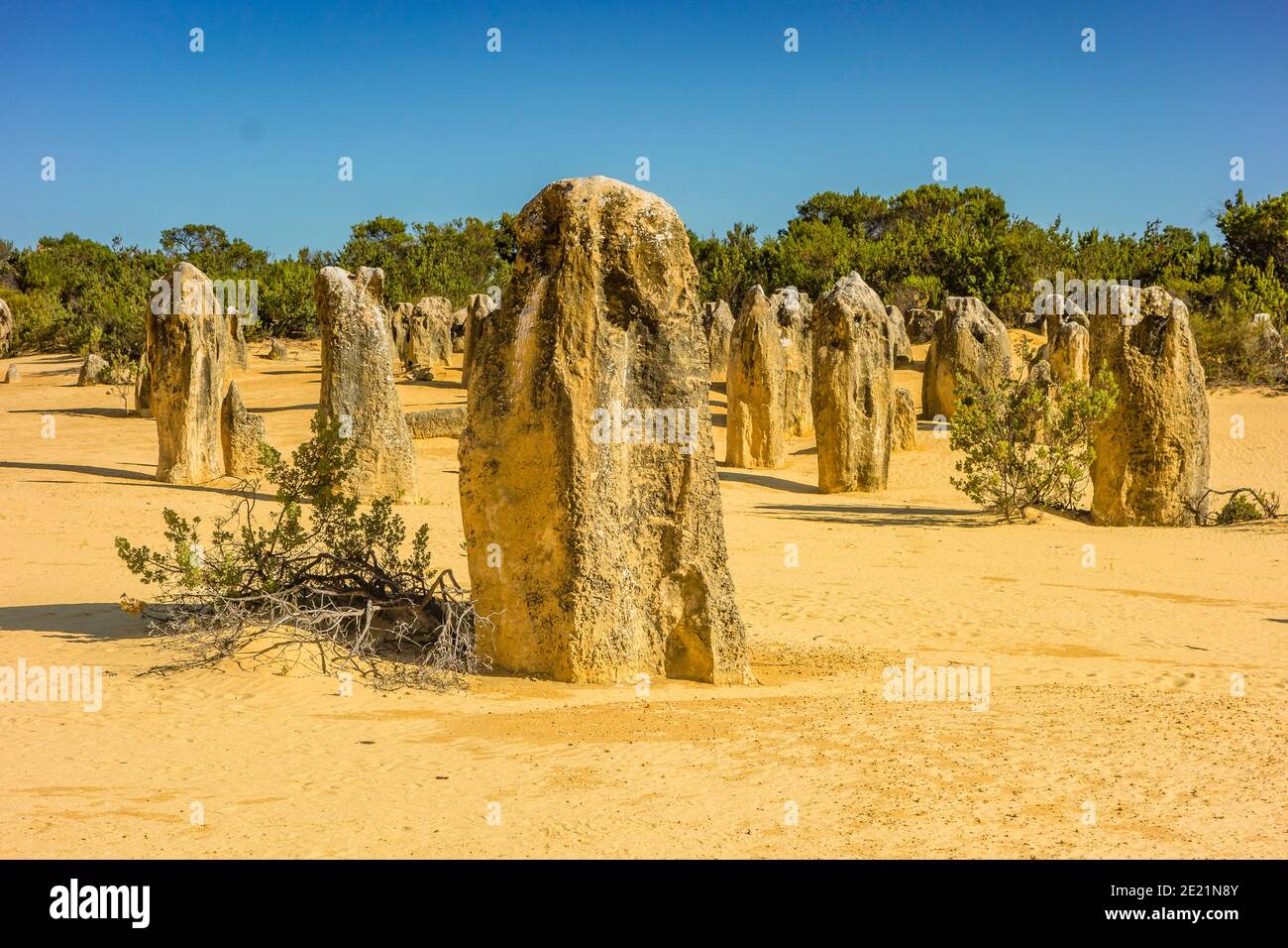 Limestone pillars of Pinnacles Desert, Nambung National Park, Western ...