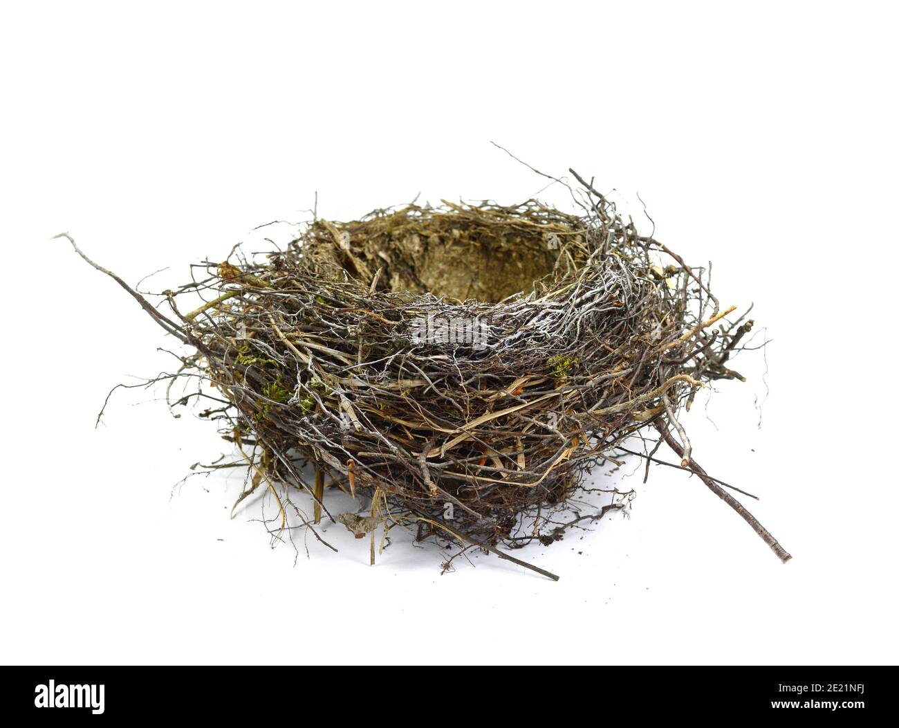 Empty nest isolated on white background Stock Photo - Alamy