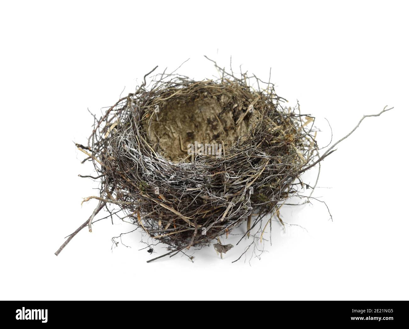 Empty nest isolated on white background Stock Photo - Alamy