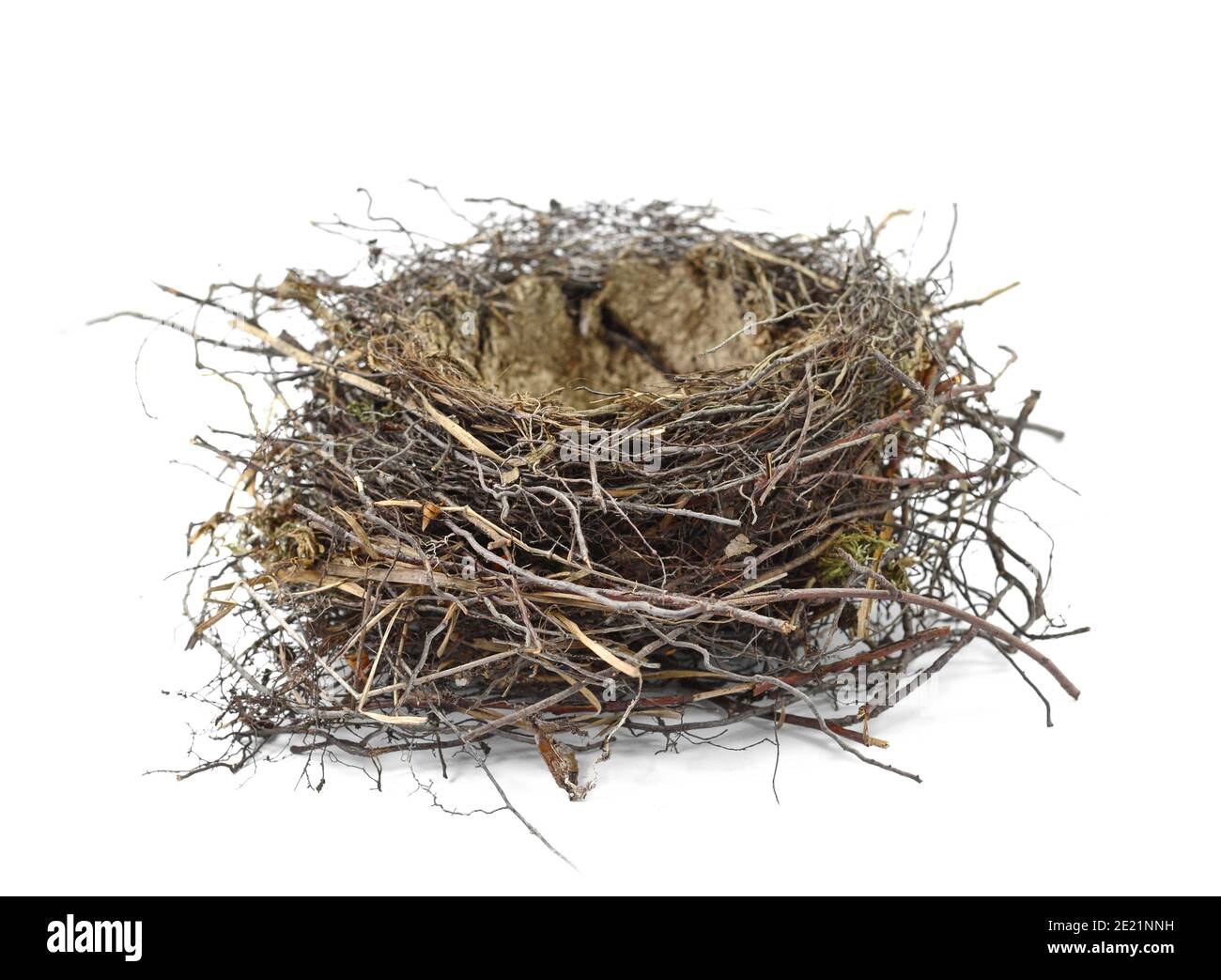 Empty nest isolated on white background Stock Photo - Alamy