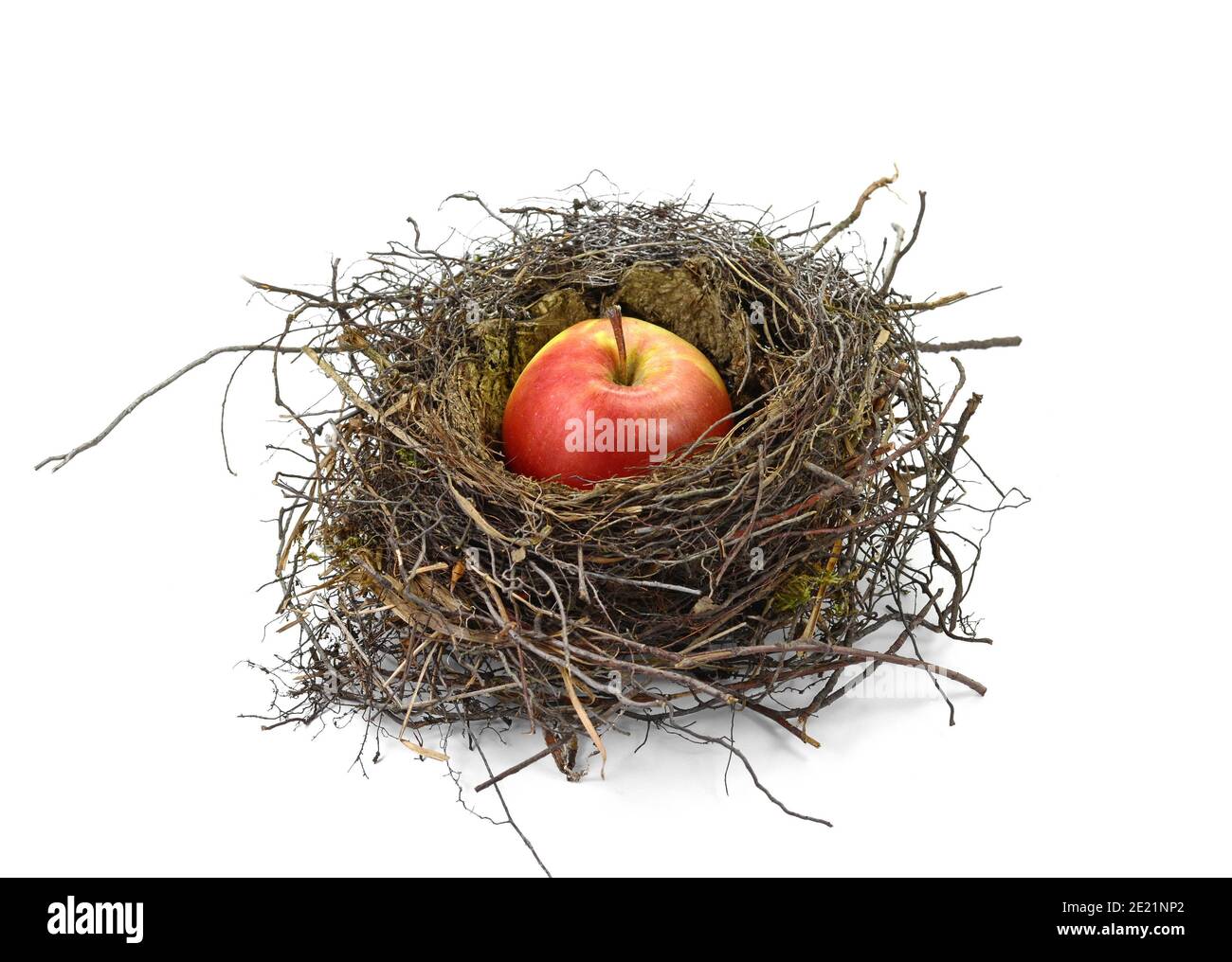 Apple in a Bird Nest with isilated on white background. Healthy life ...