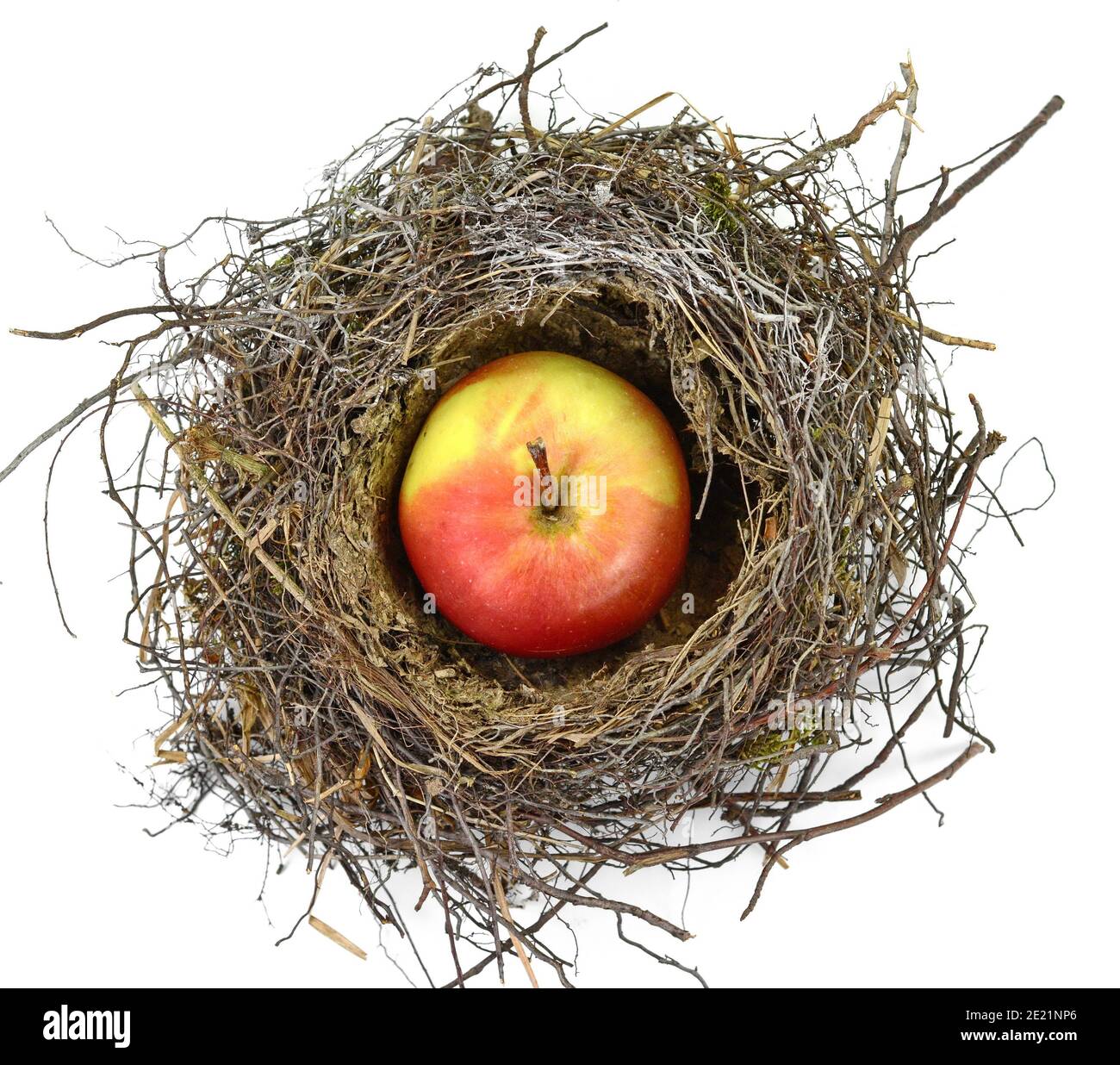 Apple in a Bird Nest with isilated on white background. Healthy life ...