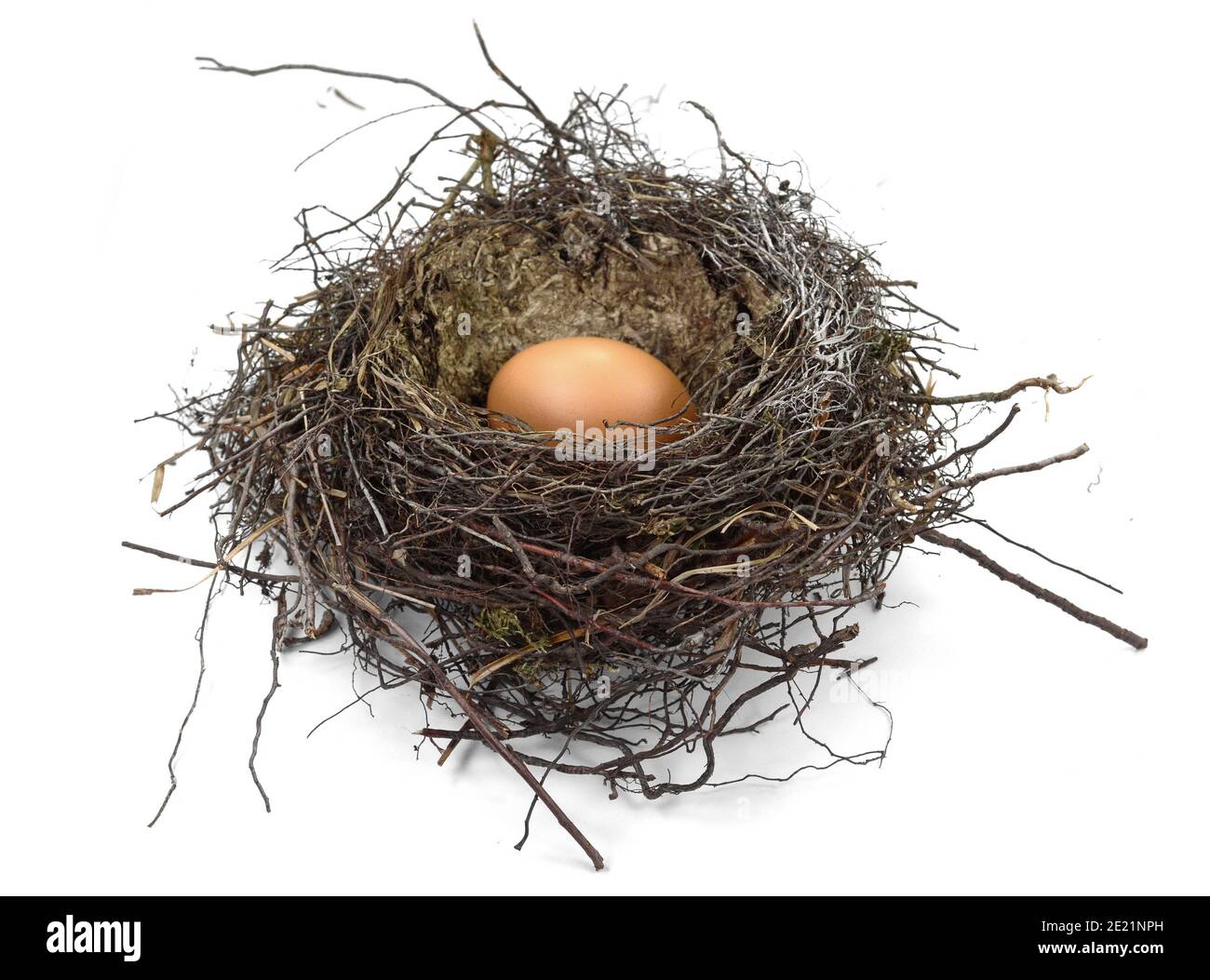 Nest with egg. isolated on white background. Beautiful bird nest with ...