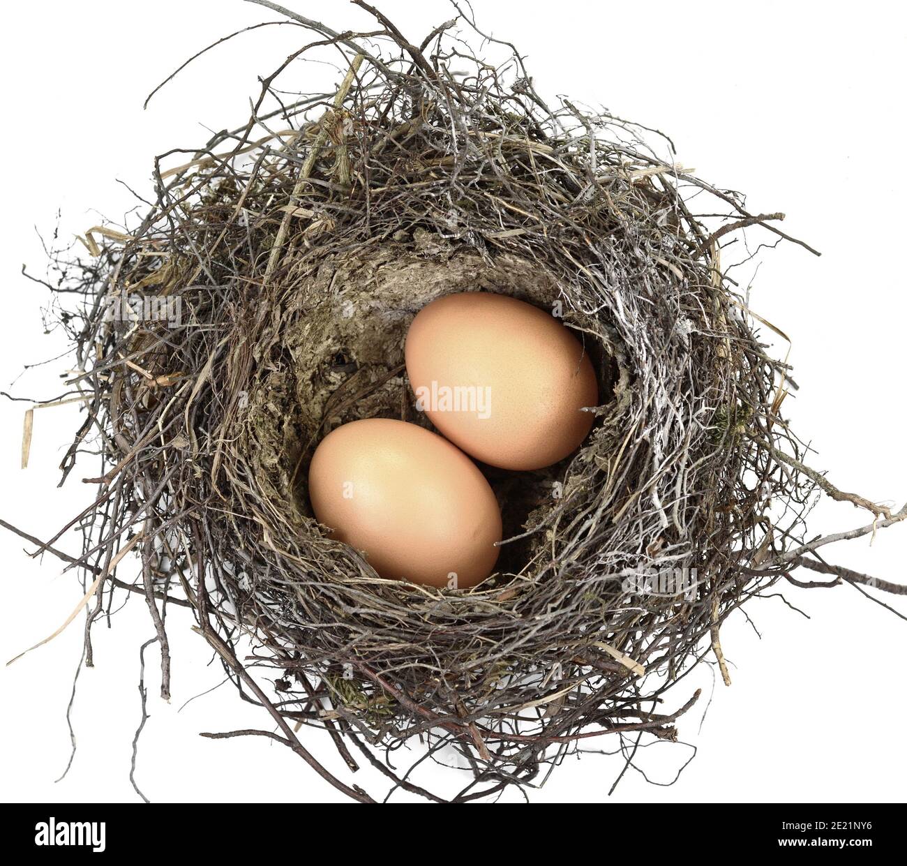Nest with eggs. isolated on white background. Beautiful bird nest with ...