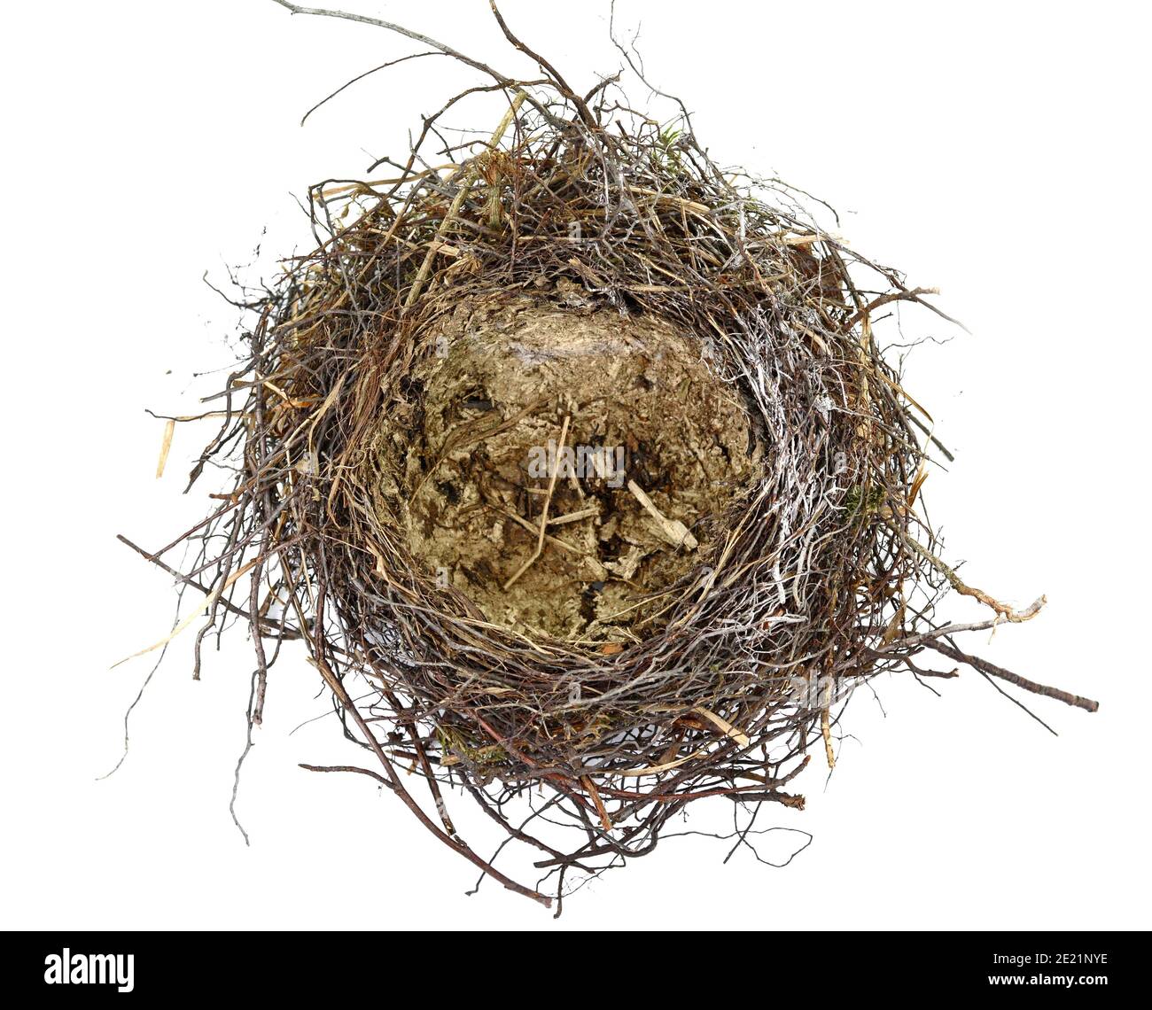 Empty nest isolated on white background Stock Photo - Alamy