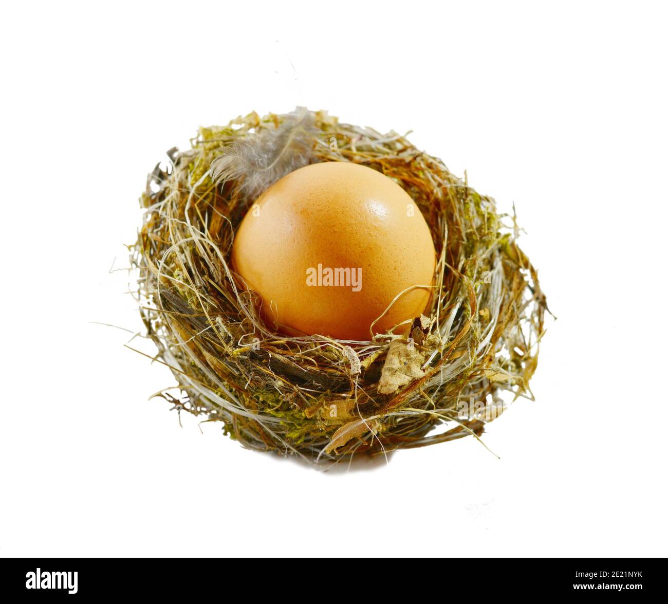 Nest with egg. isolated on white background. Beautiful bird nest with ...
