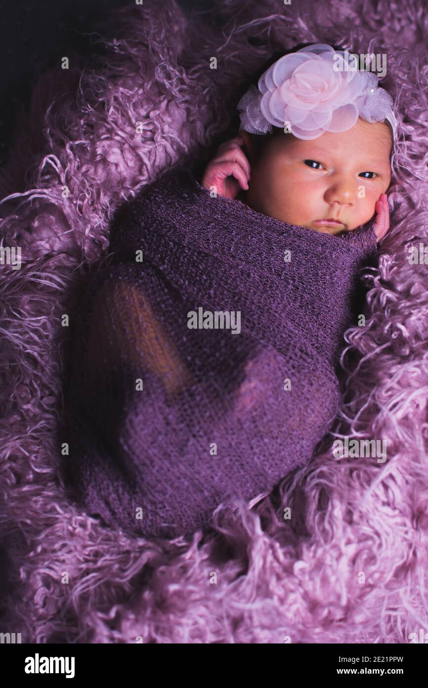 Image of a newborn girl in a purple violet setup background with copy ...