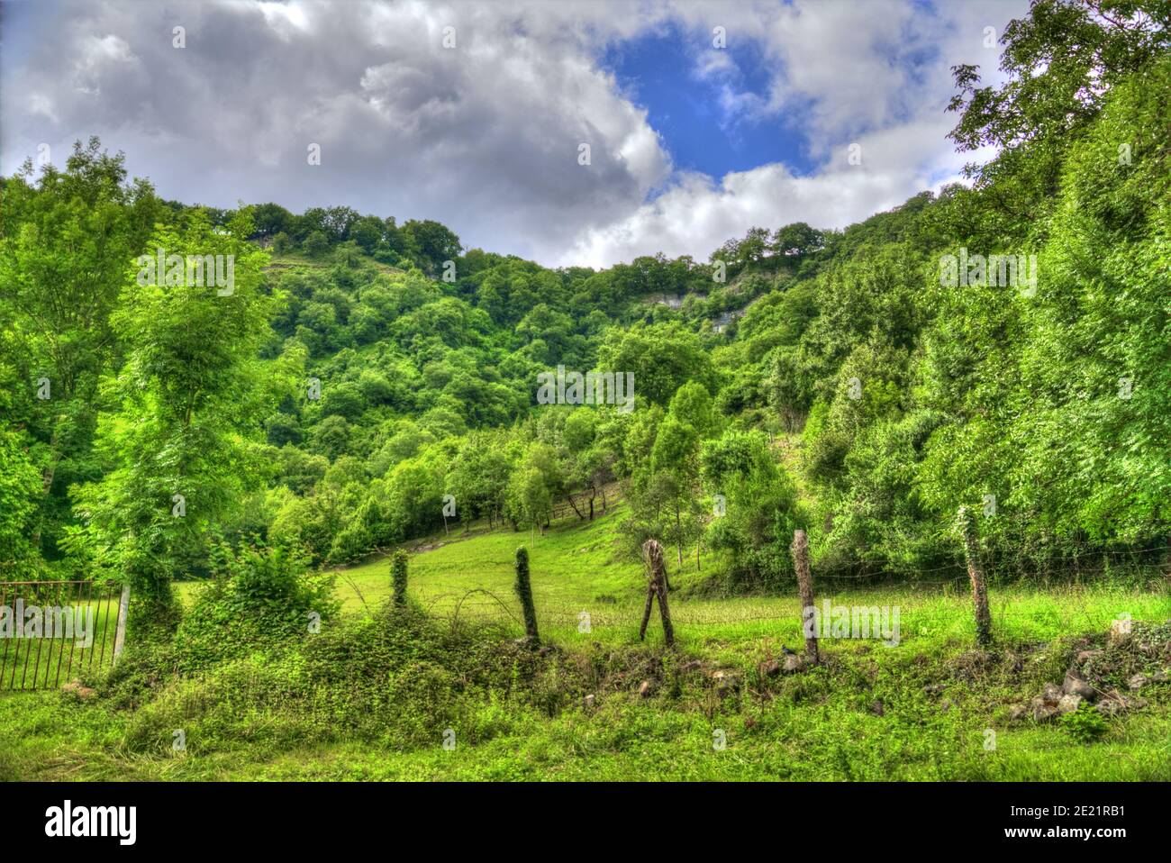 Handmade wooden fence for pasturing farm animals in a green field Stock ...