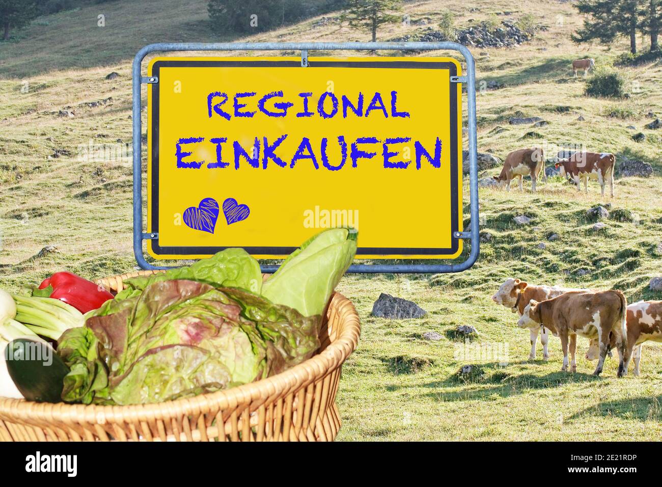 Alpine meadow with cows and the sign "Regional shopping and vegetable ...