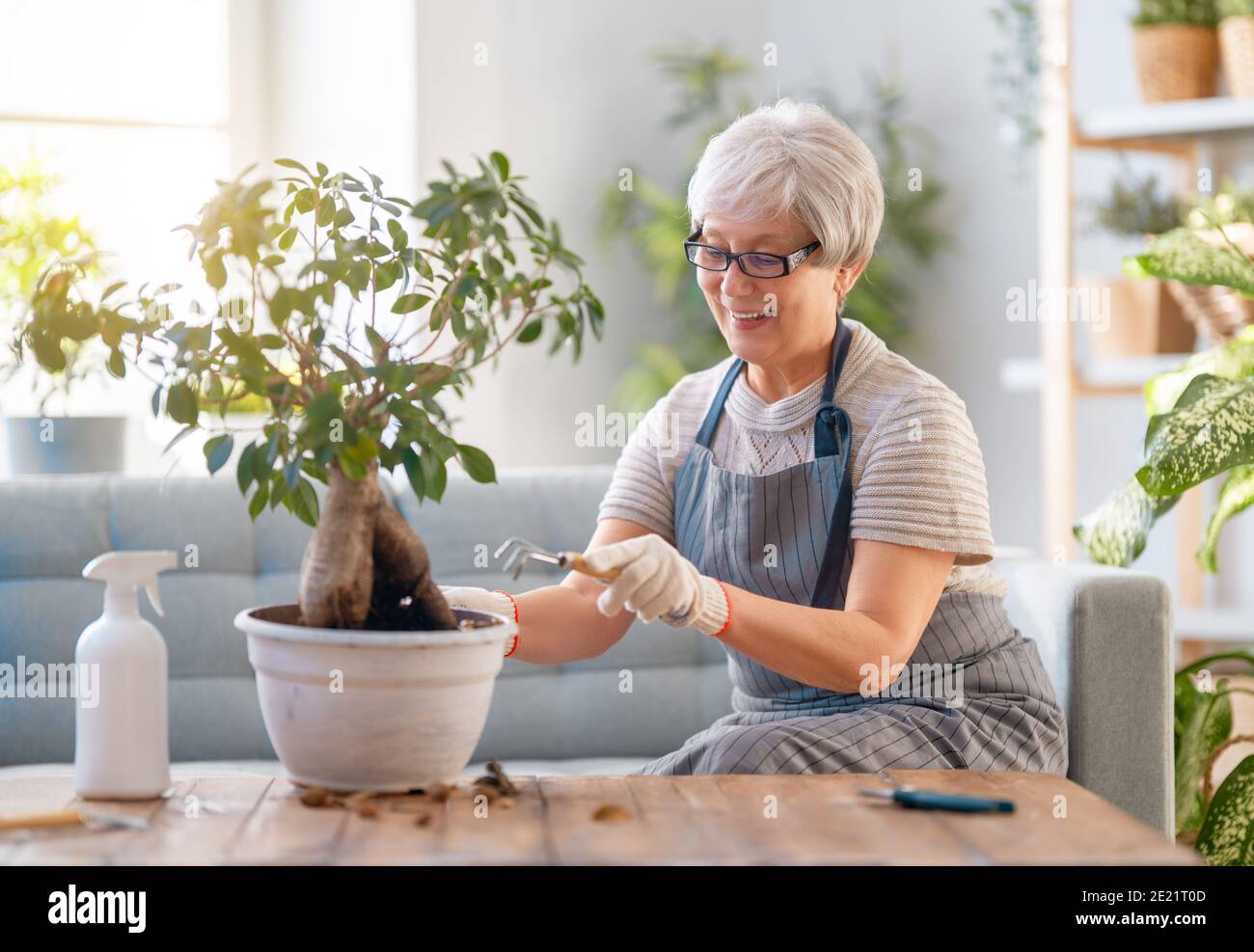 Caring for plants hi-res stock photography and images - Alamy