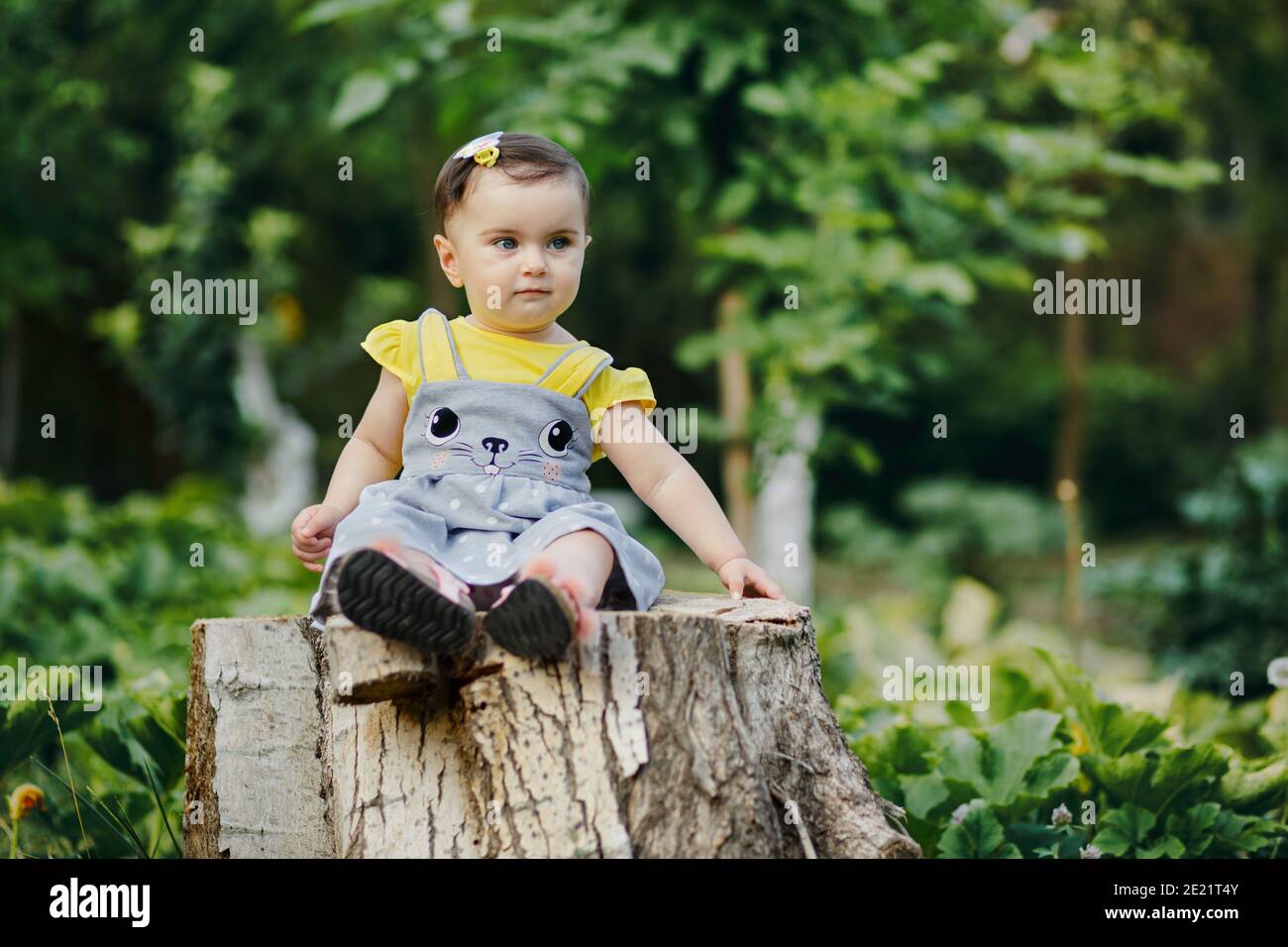 Adorable little seven months baby with yellow dress sitting on stump in ...