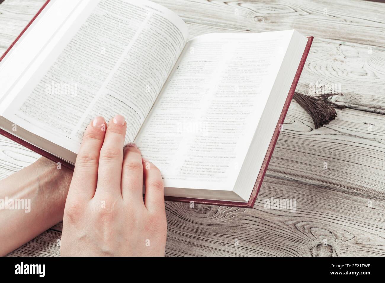 Woman reading the Holy Bible Stock Photo - Alamy