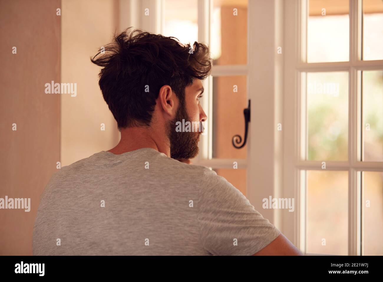 Rear View Of Builder Looking Out Of Window At New Build Property Stock ...
