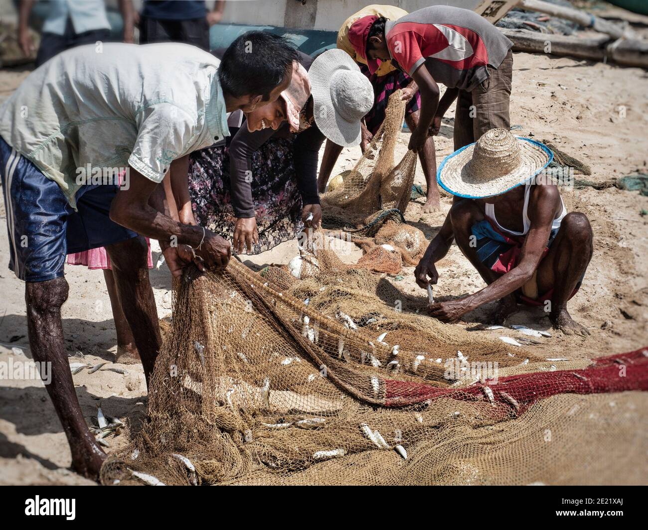 TANGALA, SRI LANKA - March 15, 2019: Asian fishermen collecting small ...