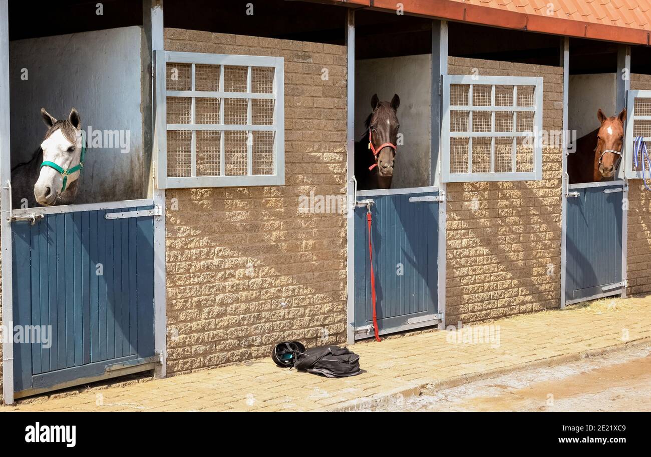 Building with stable door hi-res stock photography and images - Alamy