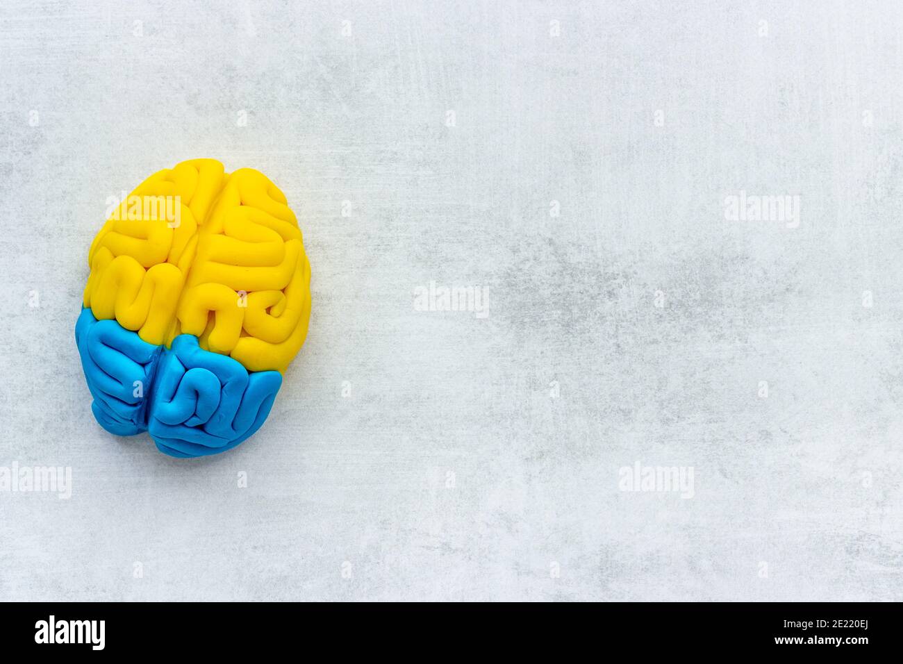 Human brain concept. Mental health, education and medical science ...