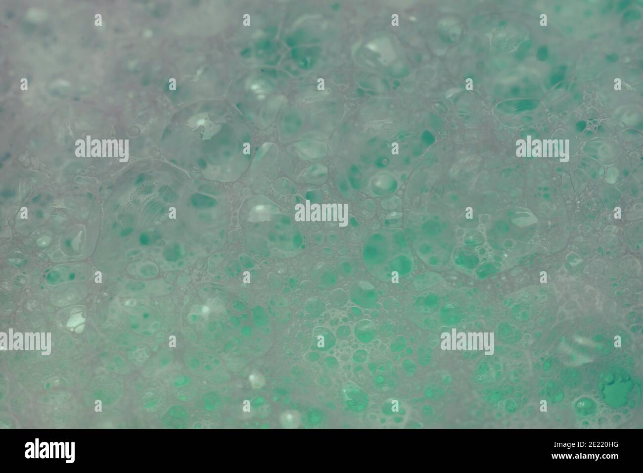 Beautiful abstract white bubbles background pattern for design. Liquid ...