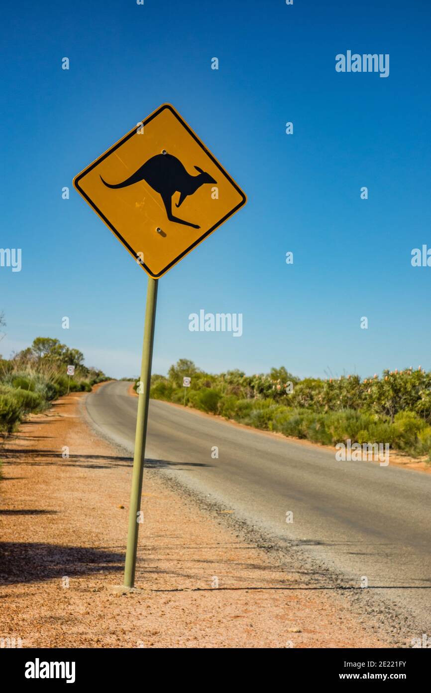 Kangaroo traffic sign on highway in Western Australia, class 1 ...
