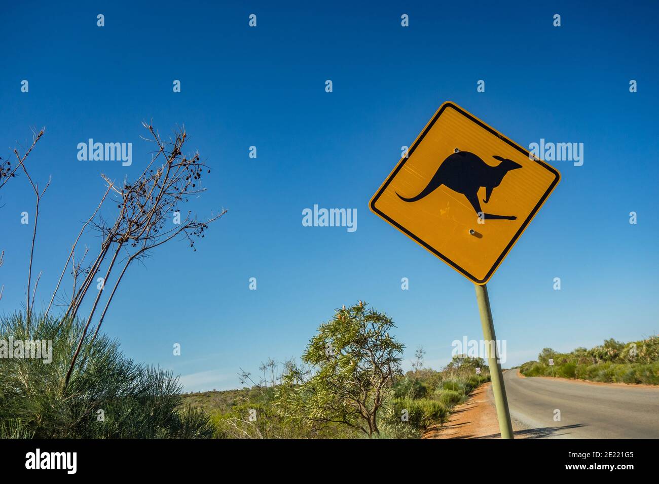 Kangaroo traffic sign on highway in Western Australia, class 1 ...