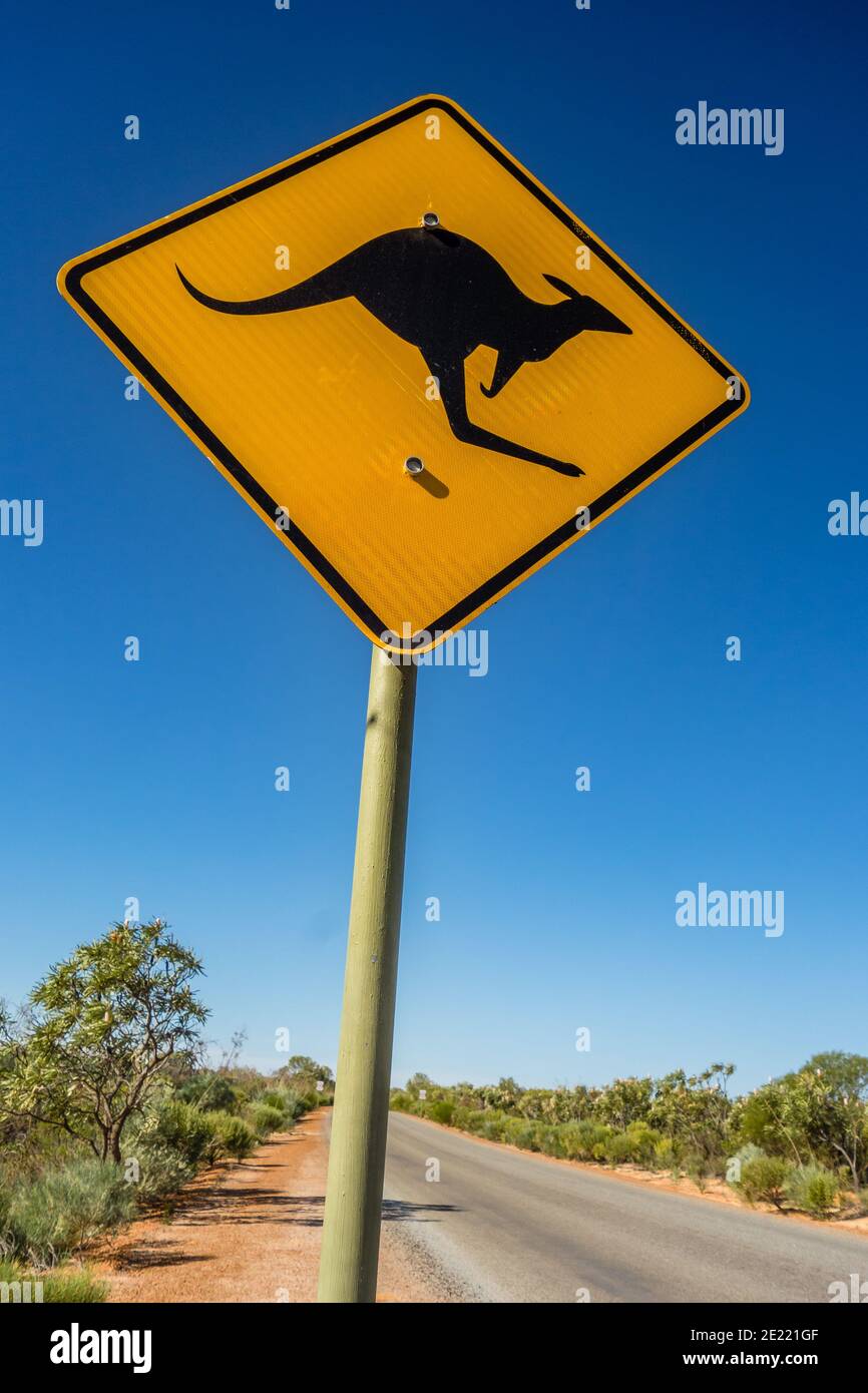 Kangaroo traffic sign on highway in Western Australia, class 1 ...