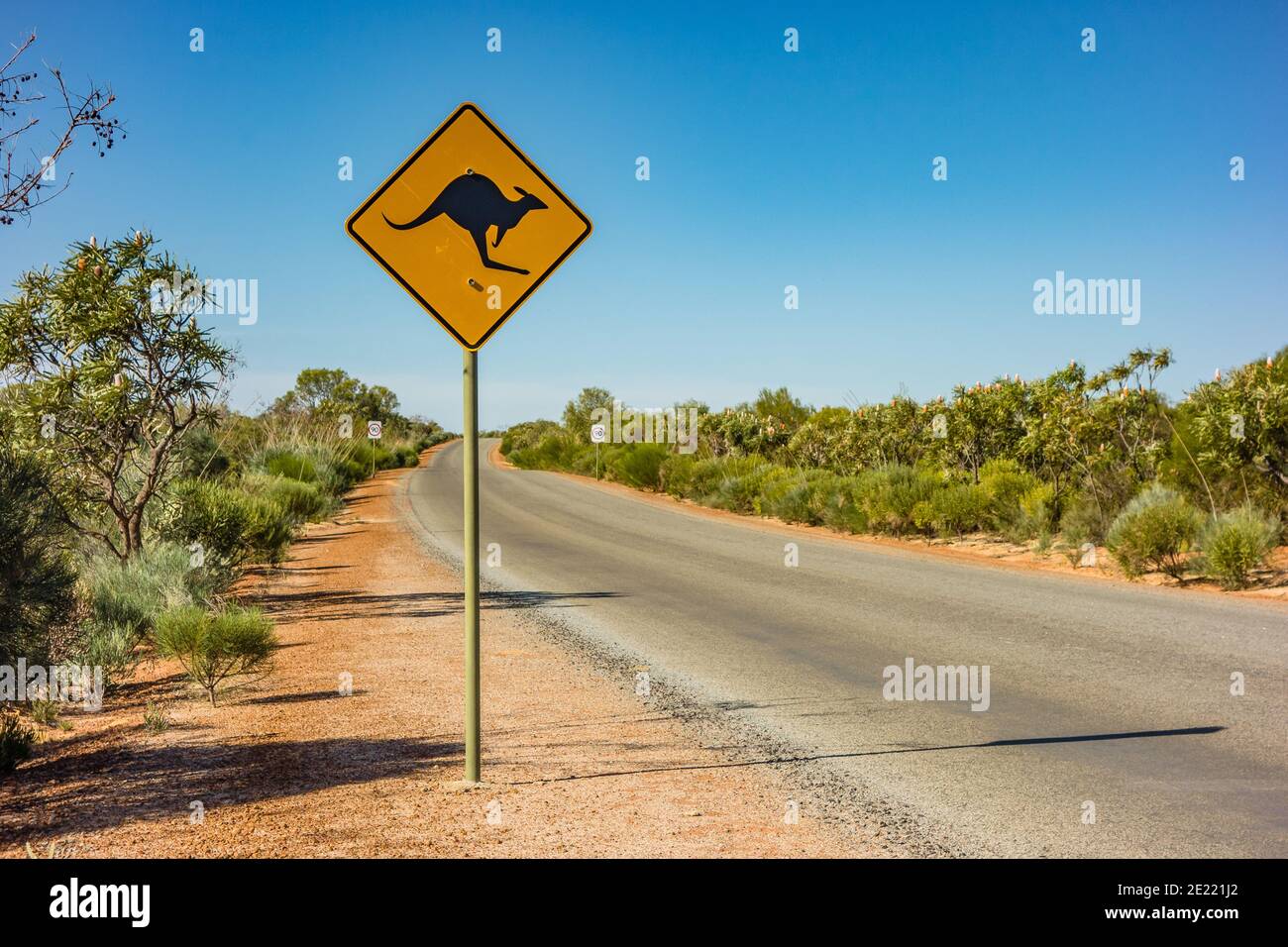 Kangaroo traffic sign on highway in Western Australia, class 1 ...