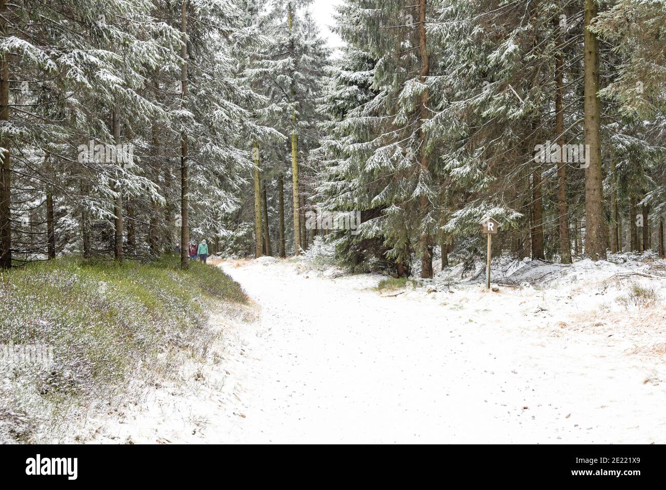Rennsteig Hiking Trail High Resolution Stock Photography and Images - Alamy