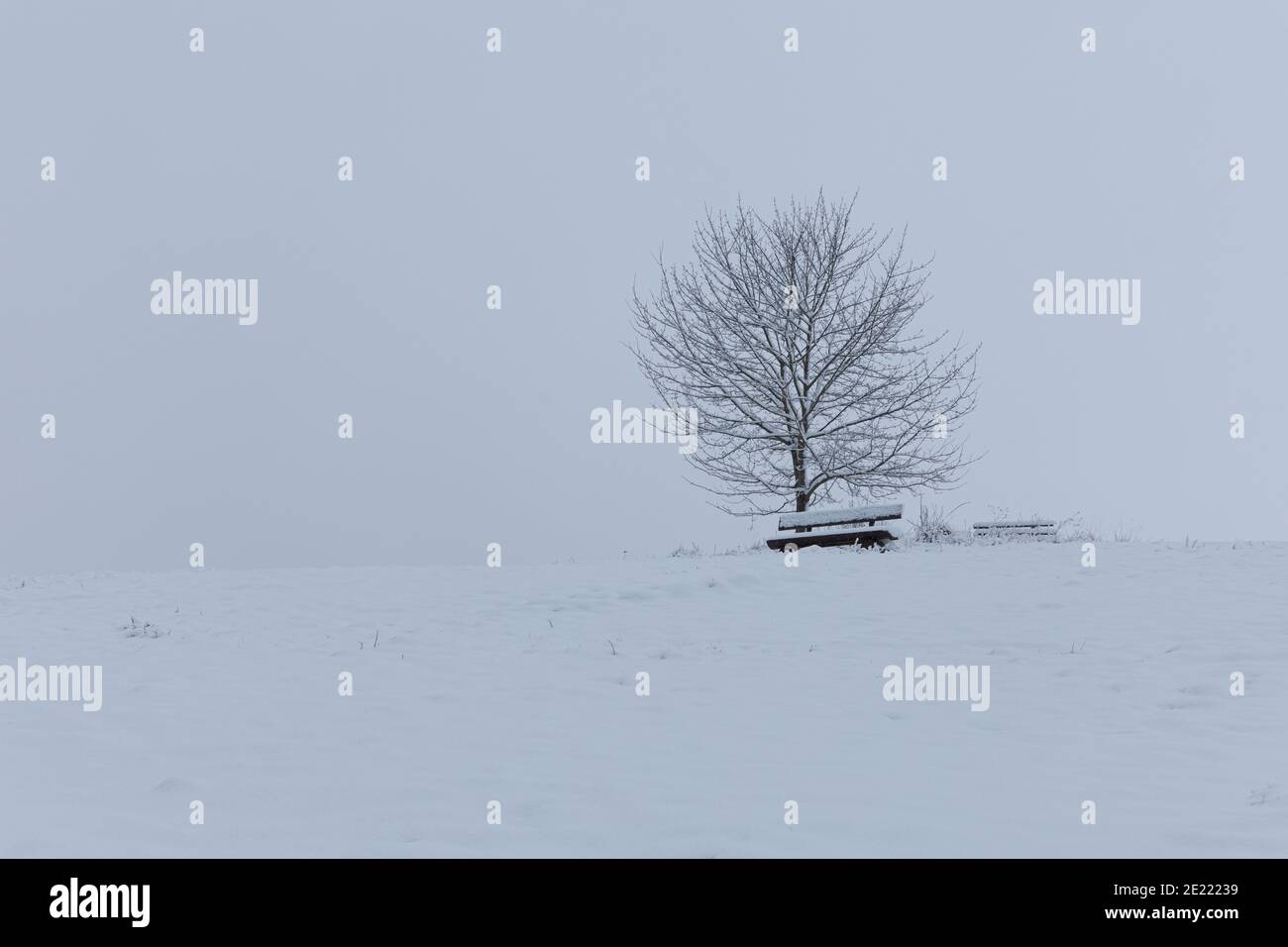 Snow bank wide hi-res stock photography and images - Alamy