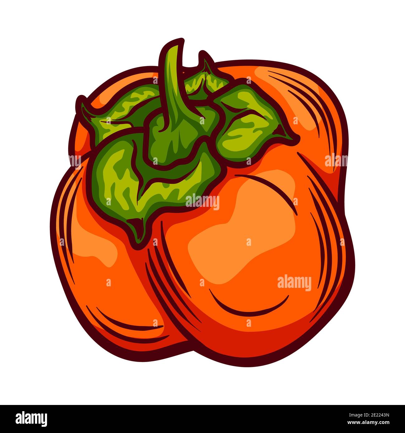 Persimmon. Hand drawn doodle persimmon fruit illustration isolated on ...