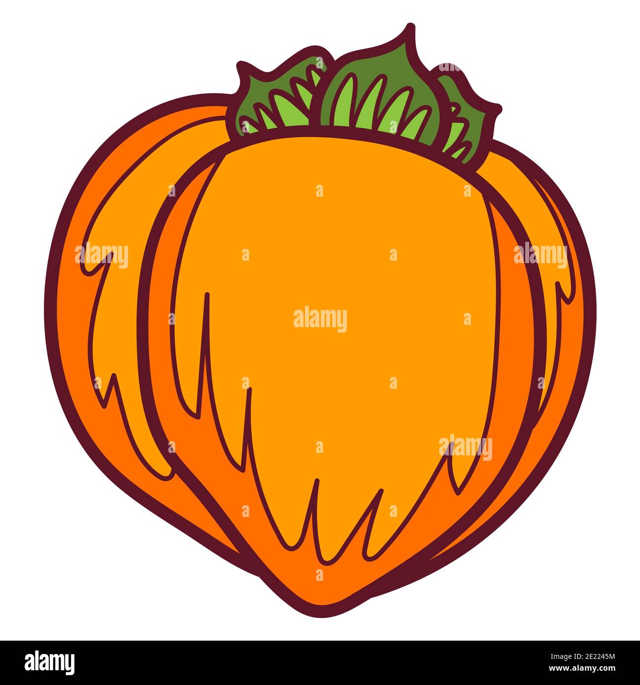 Persimmon. Hand drawn doodle persimmon fruit illustration isolated on ...