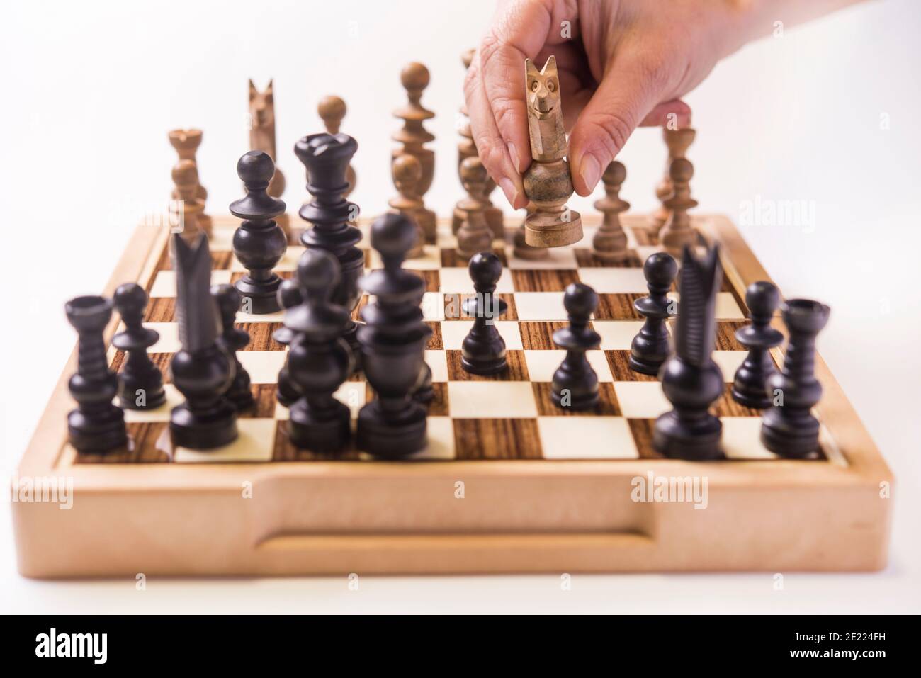 Chess fight in white background Stock Photo - Alamy