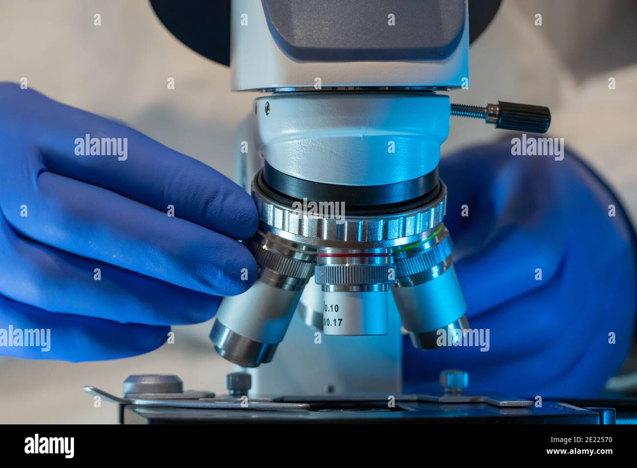 Hands of scientist adjusting microscope in laboratory. Research and microbiology concept Stock ...