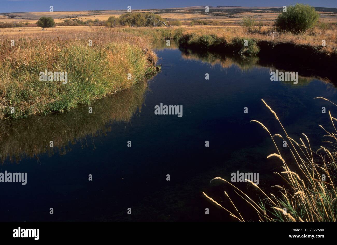 Donner und Blitzen River, Malheur National Wildlife Refuge, Oregon ...