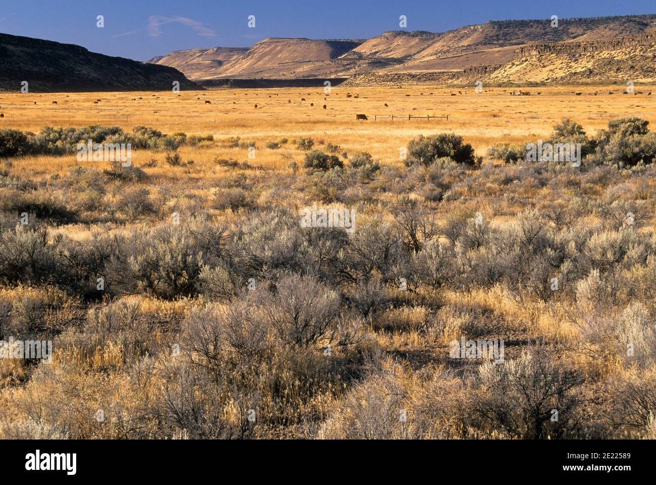 Diamond Valley ranchland, Diamond Loop National Back Country Byway ...