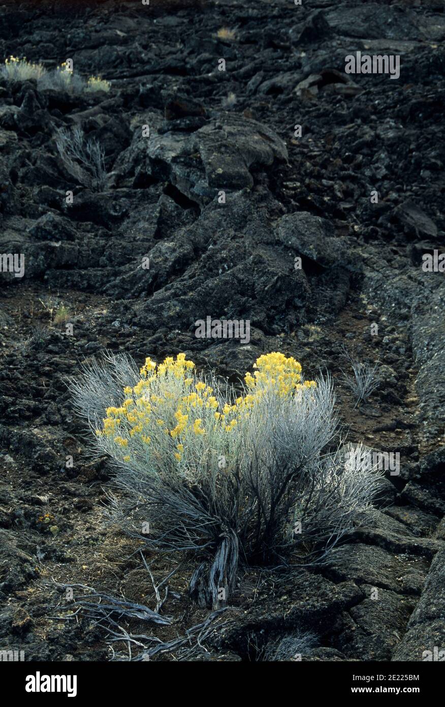 Lava Pit Crater Flow, Diamond Craters Outstanding Natural Area, Diamond ...