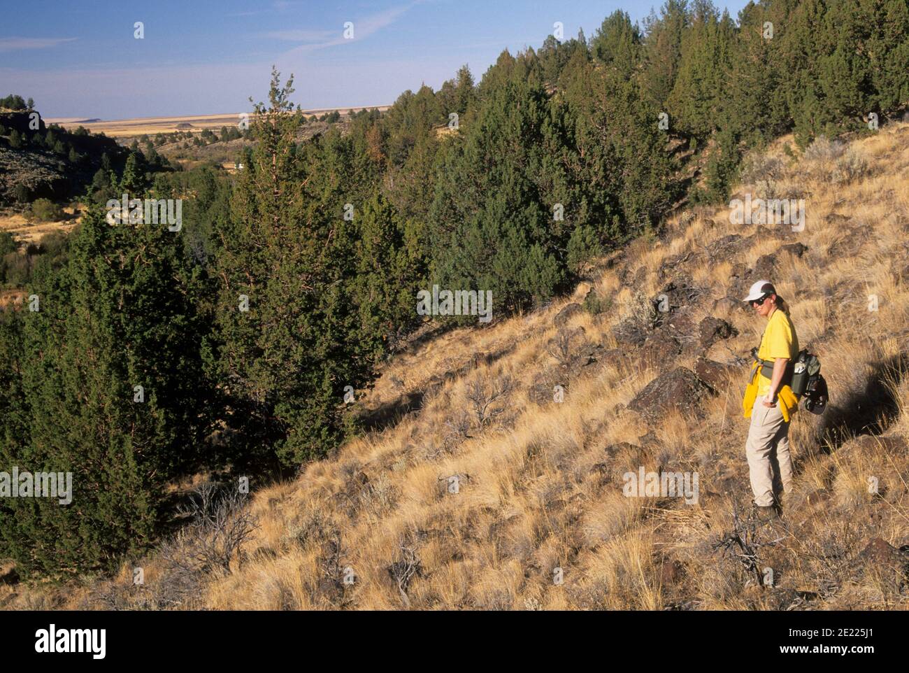 Donner and blitzen wild and scenic river hi-res stock photography and ...